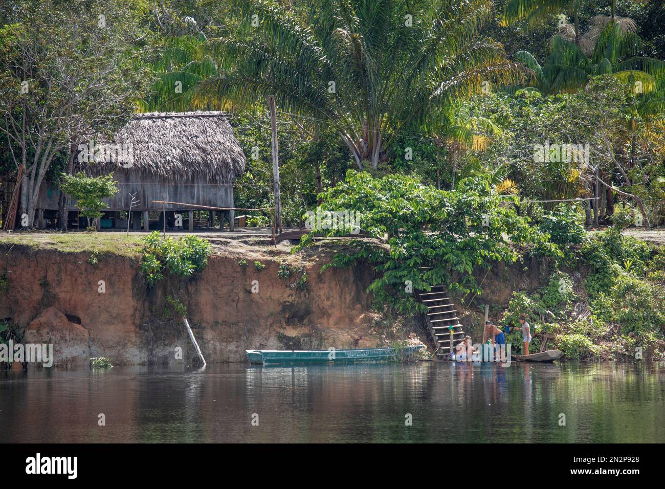 Amazon Basin, Amazonas State, Barcelos municipality, Brazil. Indigenous ...