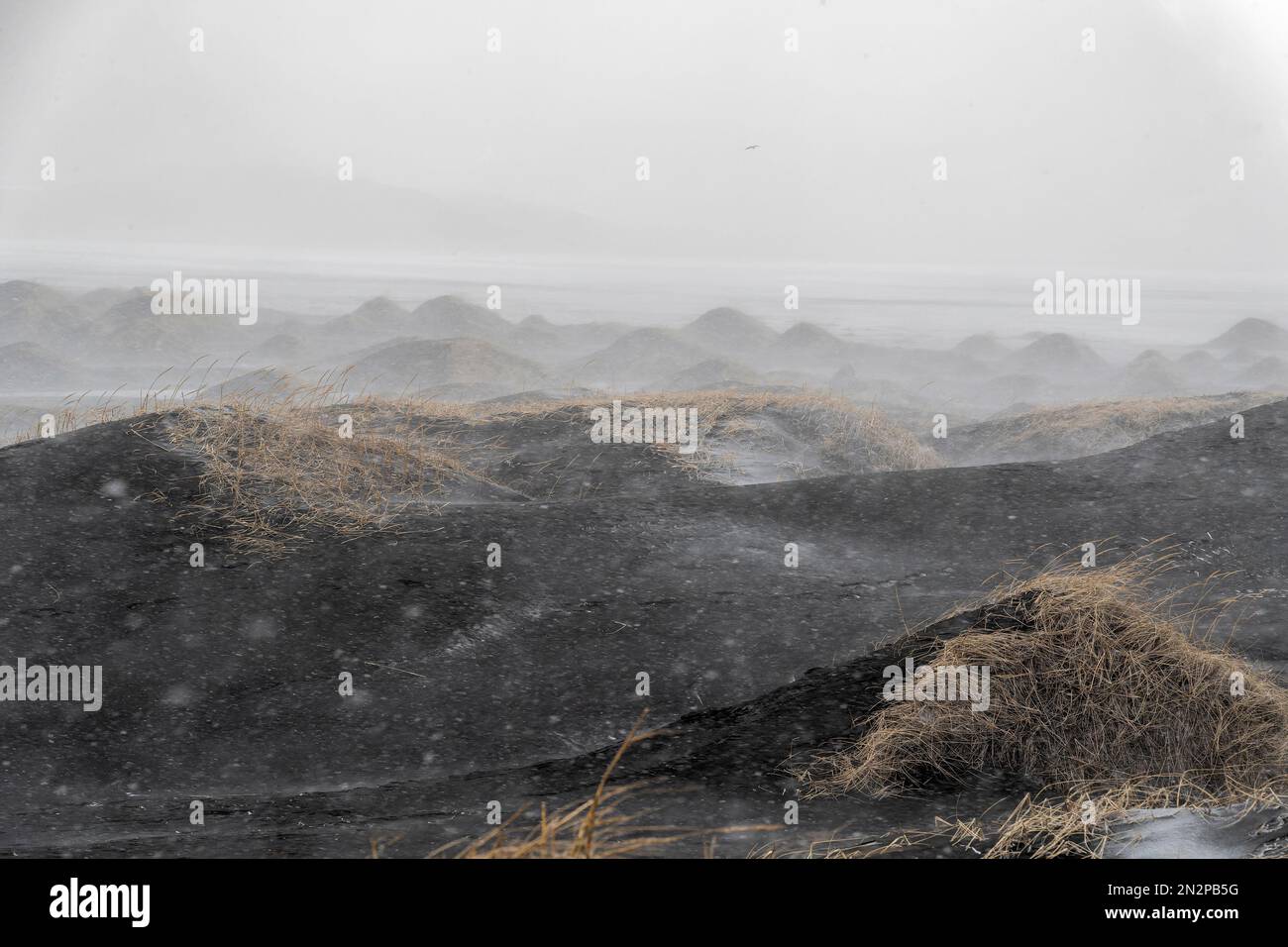 Iceland wind hi-res stock photography and images - Alamy