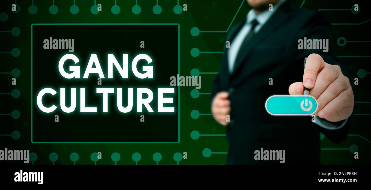 Writing displaying text Gang Culture. Business approach particular ...