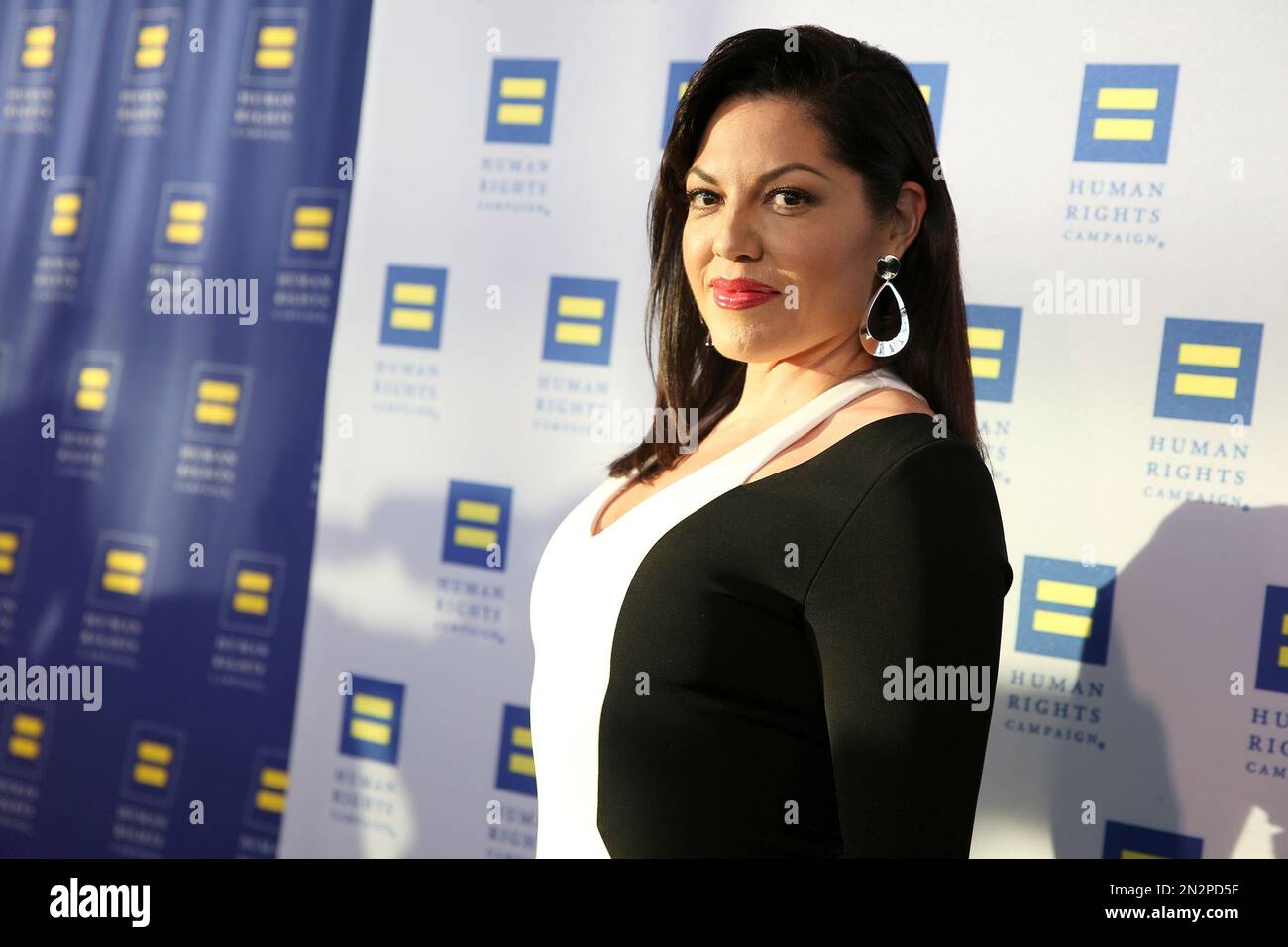 Sara Ramirez arrives at the 2015 Human Rights Campaign Gala Dinner at ...