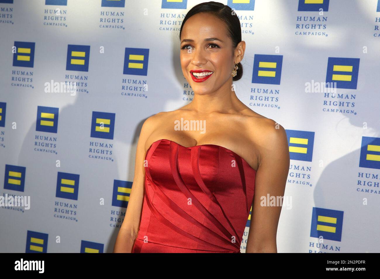 Dania Ramirez arrives at the 2015 Human Rights Campaign Gala Dinner at ...