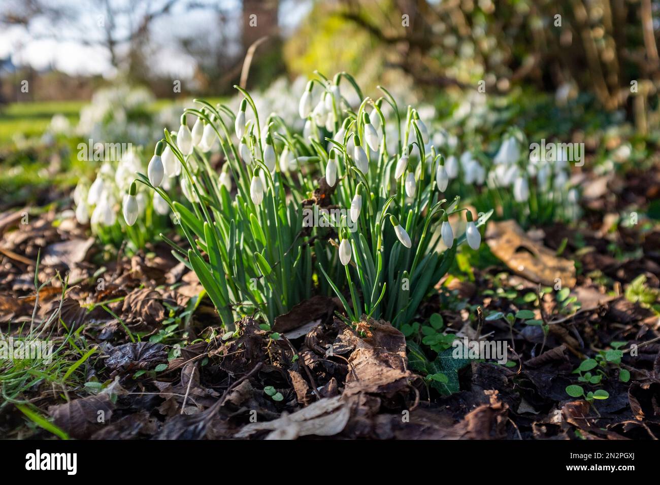 Britain in bloom 2023 hi-res stock photography and images - Alamy