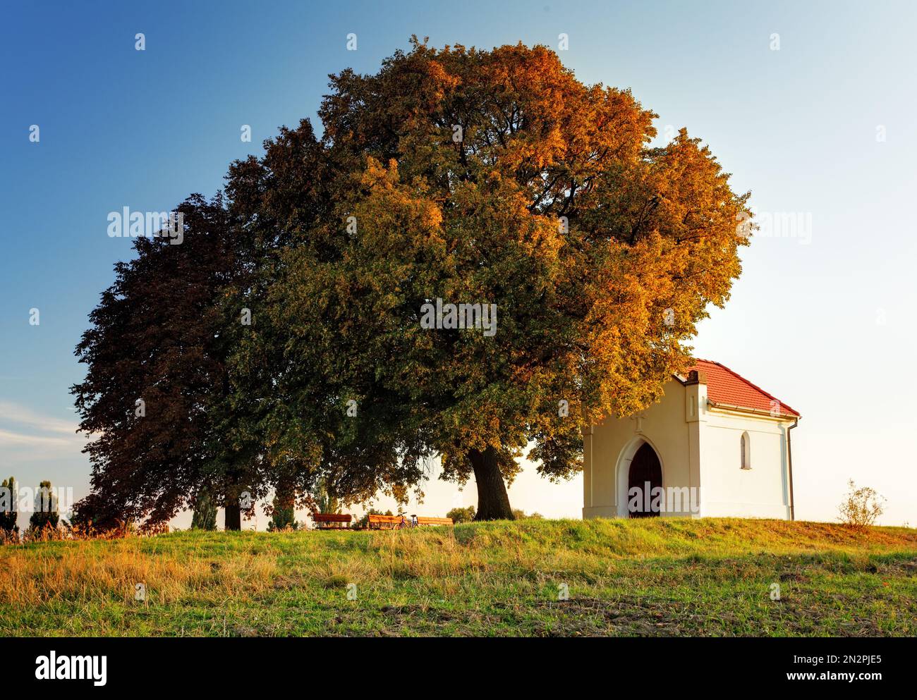 Serene chapel scene hi-res stock photography and images - Alamy