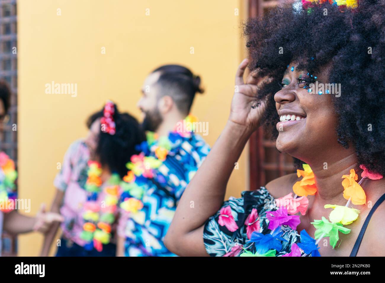 People having fun in the Brazilian Carnival Stock Photo - Alamy