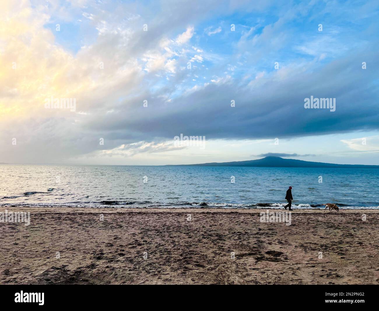 Silhouette of a man walking his dog on St Heliers Beach at sunset with ...