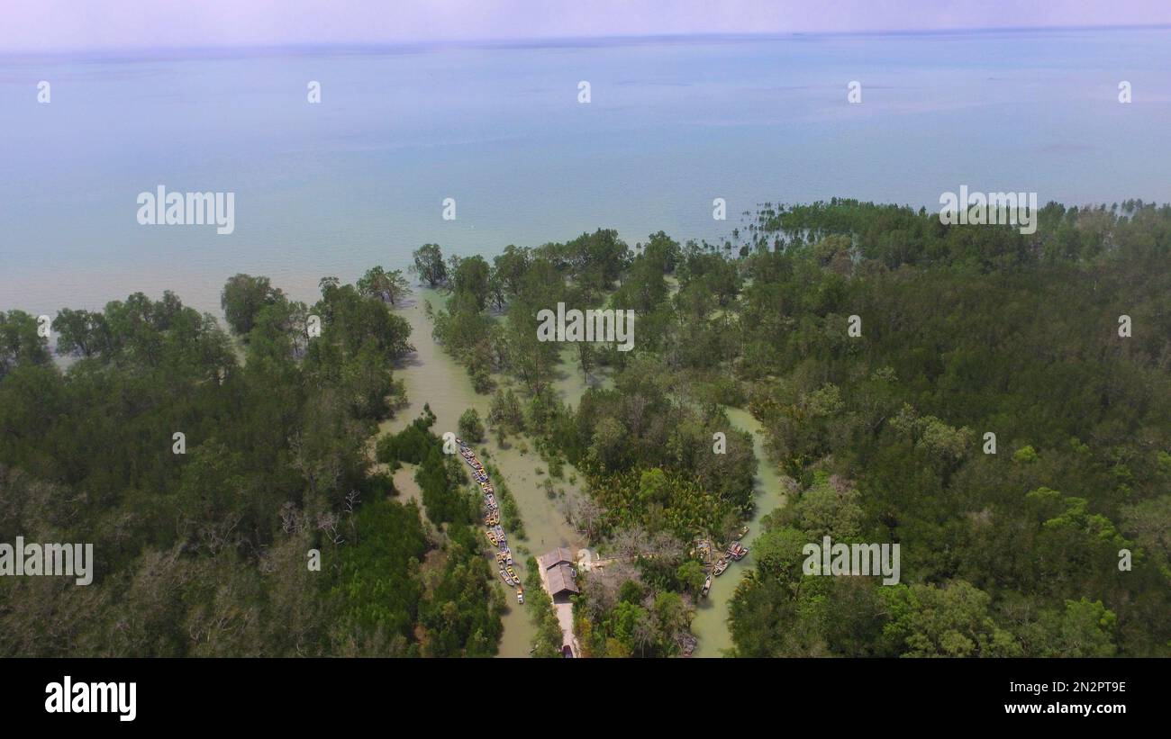 Aerial View Of Mangrove Forest, River And Ocean Stock Photo - Alamy