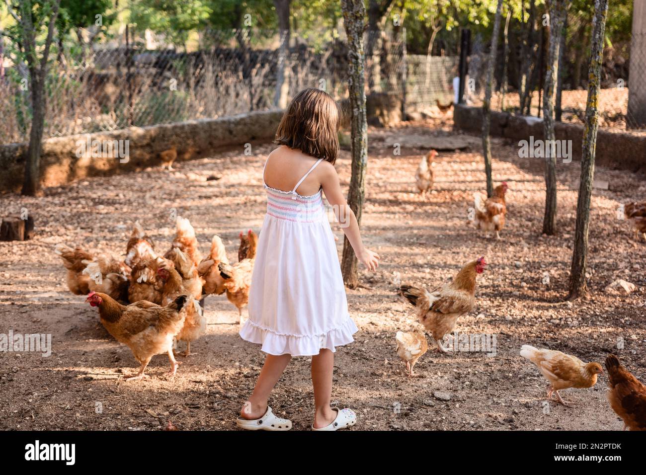 The girls of summer hi-res stock photography and images - Alamy