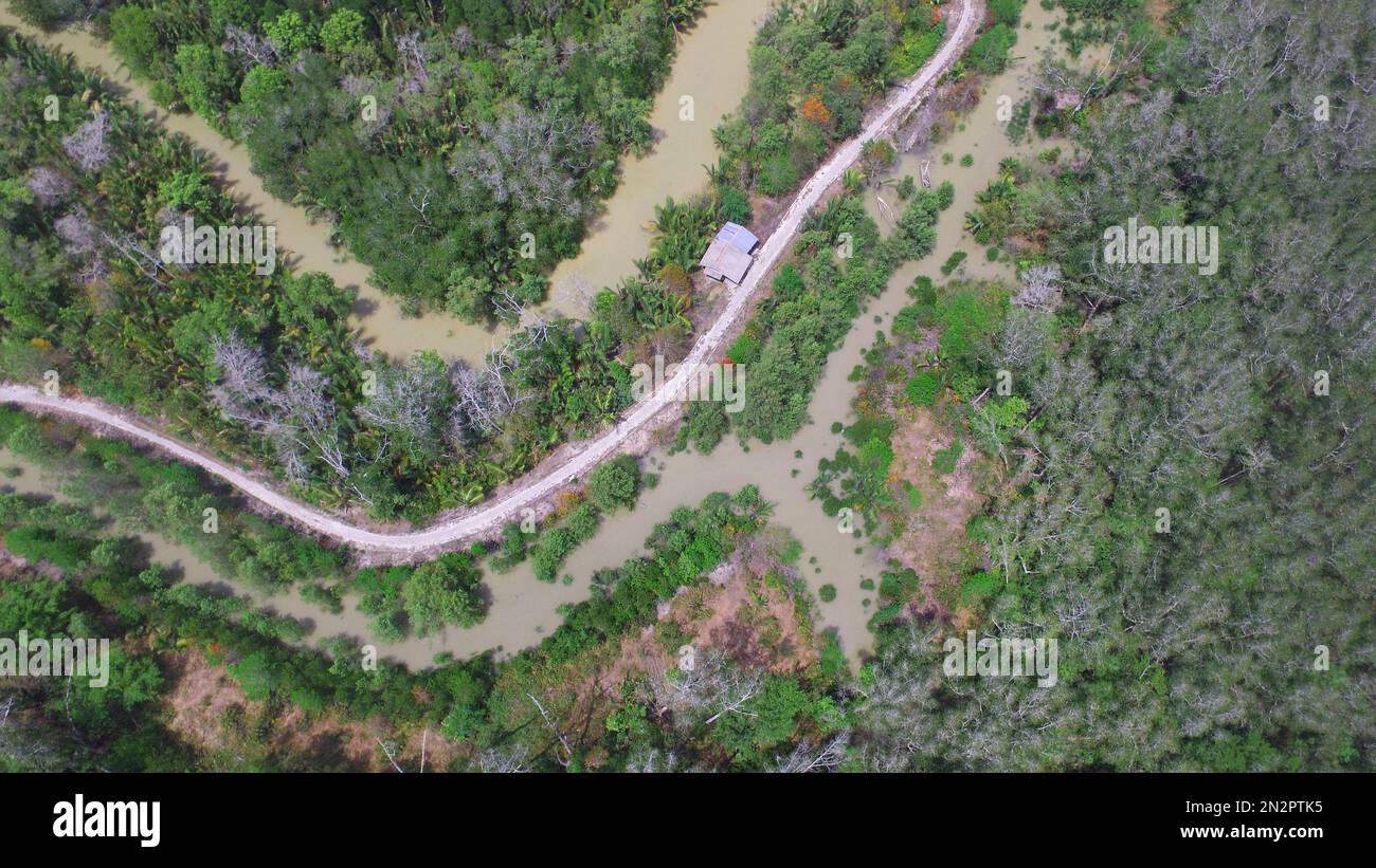 Aerial View Of Two Beautiful River Streams And Tropical Forest Stock ...