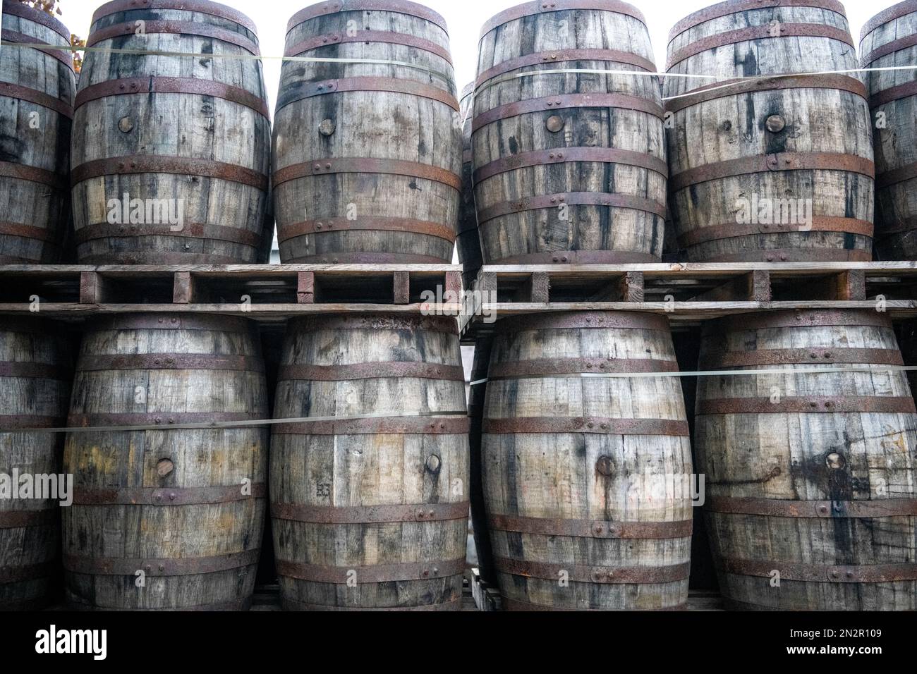 Close-up of a stack of whisky Barrels on wooden pallets, Ireland Stock ...