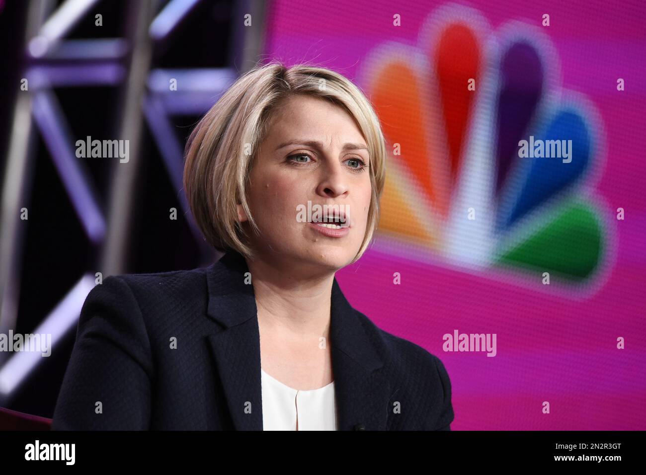 FILE - In this Jan. 16, 2015 file photo, Liz Feldman speaks on stage ...