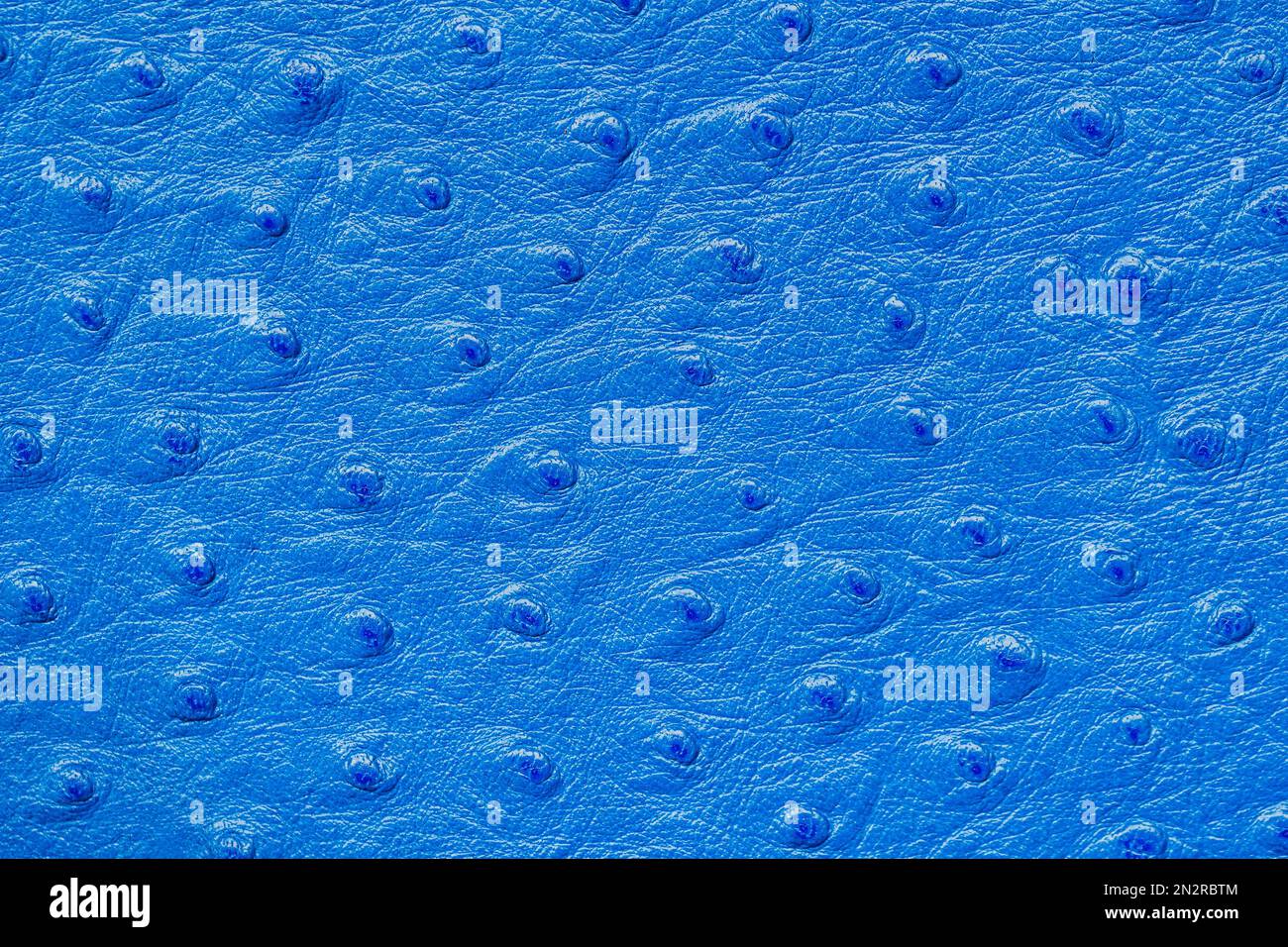 Texture of genuine matte rough leather close-up, embossed under skin of ...