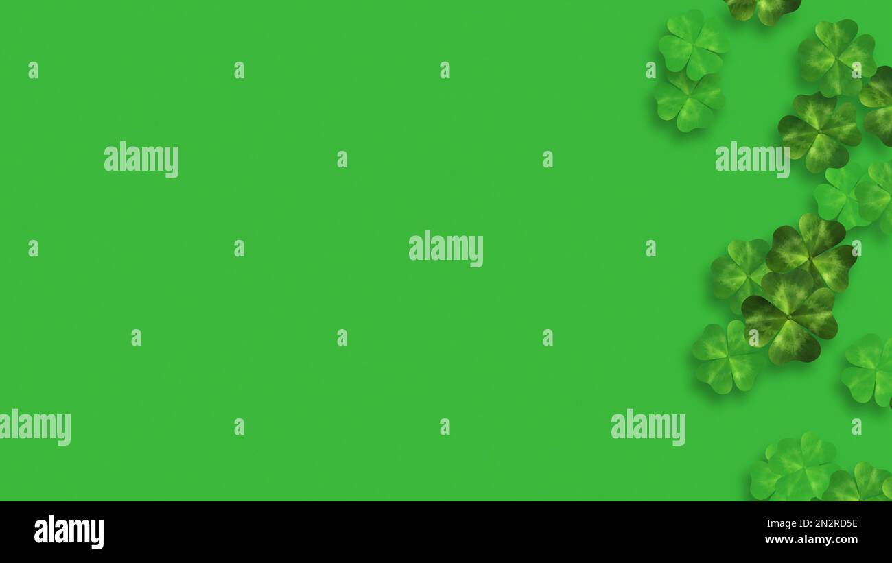 Celebrating St Patricks Day With Falling Four Leaf Clover Background