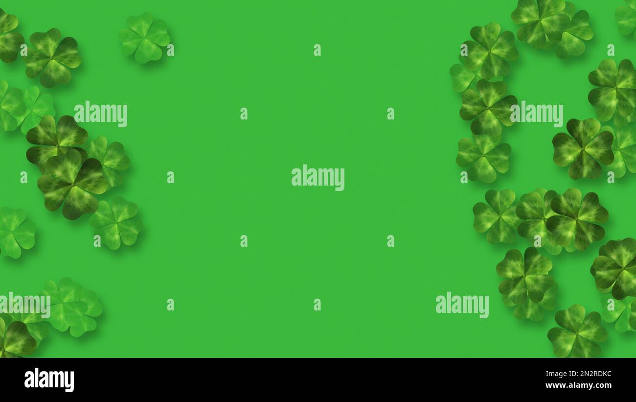 Saint Patrick Day Four Leaf Clover Falling background Stock Photo - Alamy