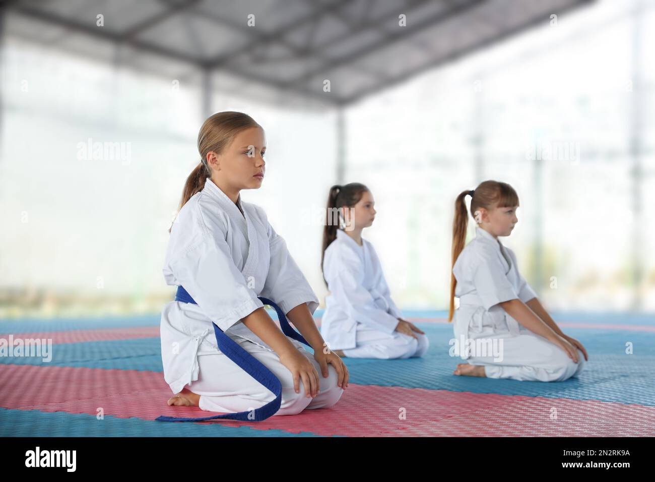 Children in kimono sitting on tatami outdoors. Karate practice Stock ...