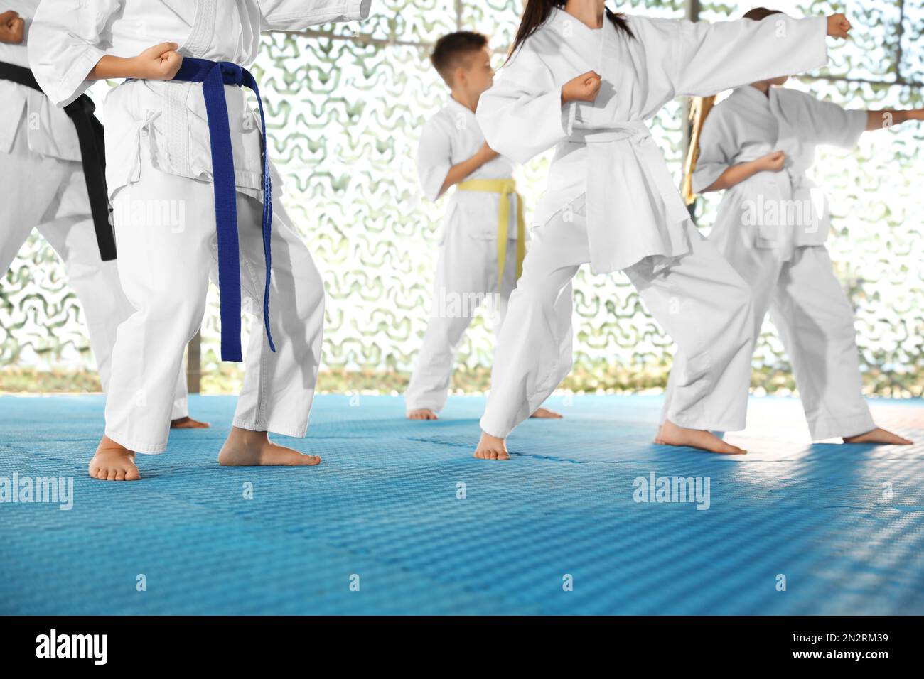 Children in kimono practicing karate on tatami outdoors, closeup Stock ...