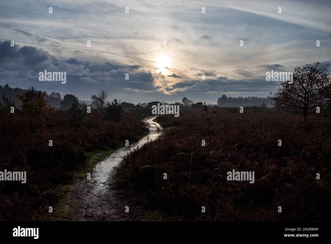 Public footpath Sutton Heath Suffolk England Stock Photo - Alamy