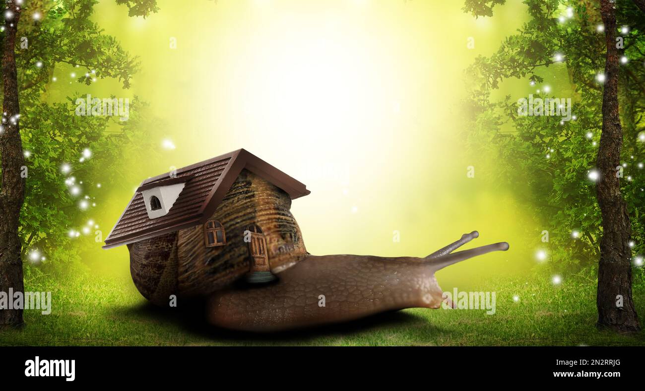 Fantasy world. Magic snail with its shell house moving in beautiful ...