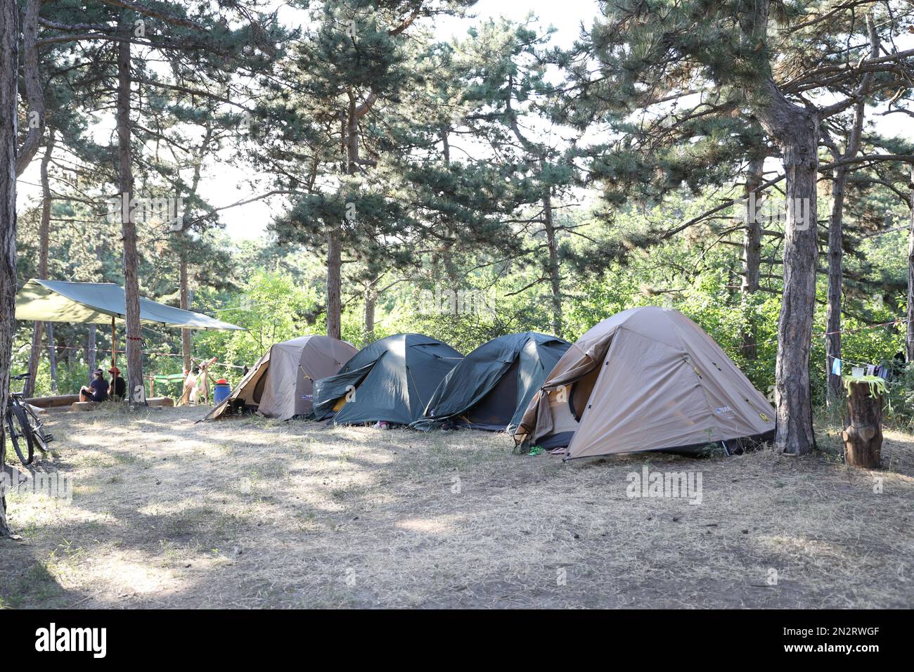 touristic camp with tents in the summer forest Stock Photo - Alamy