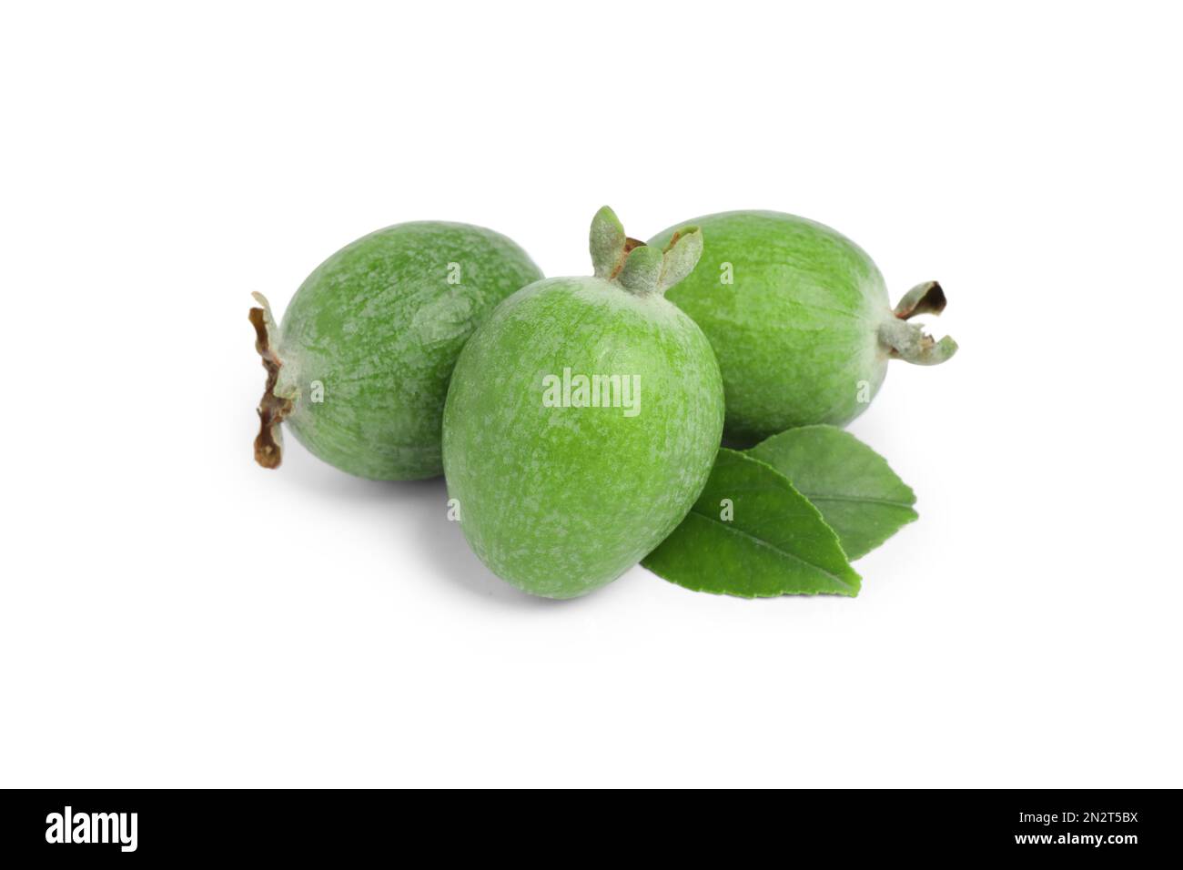 Delicious fresh feijoa fruits Cut Out Stock Images & Pictures - Alamy