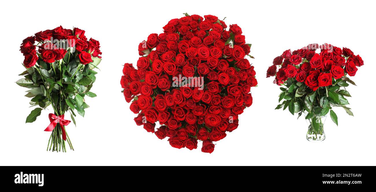 Set with beautiful bouquets of red roses on white background, banner ...