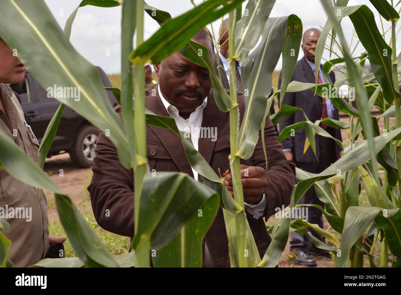 Congo President Joseph Kabila inspects corn produced with the help of ...