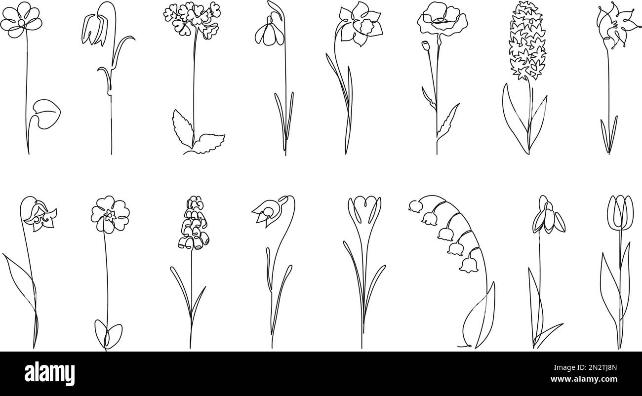 Continuous one line spring flowers. Botanicals silhouette, early flower ...