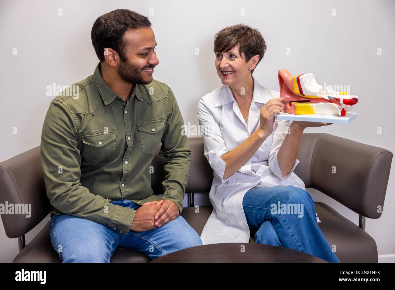 ENT doctor showing ear model to the patient and explains Stock Photo ...
