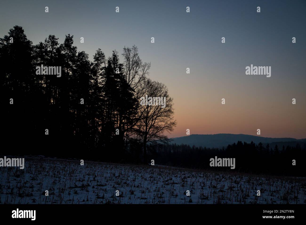 Cold morning in nature hi-res stock photography and images - Alamy