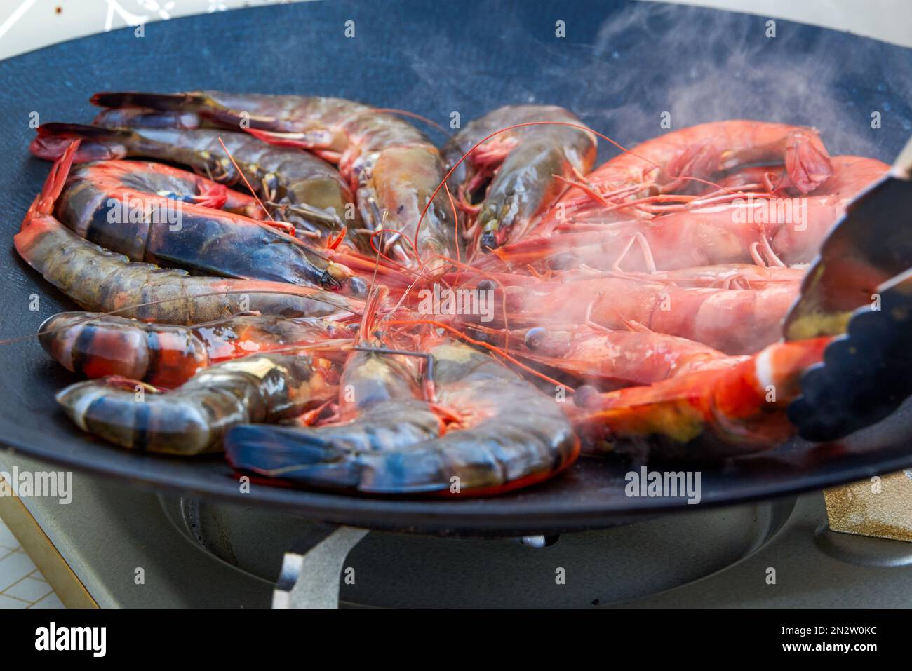 Pipa shrimp hi-res stock photography and images - Alamy