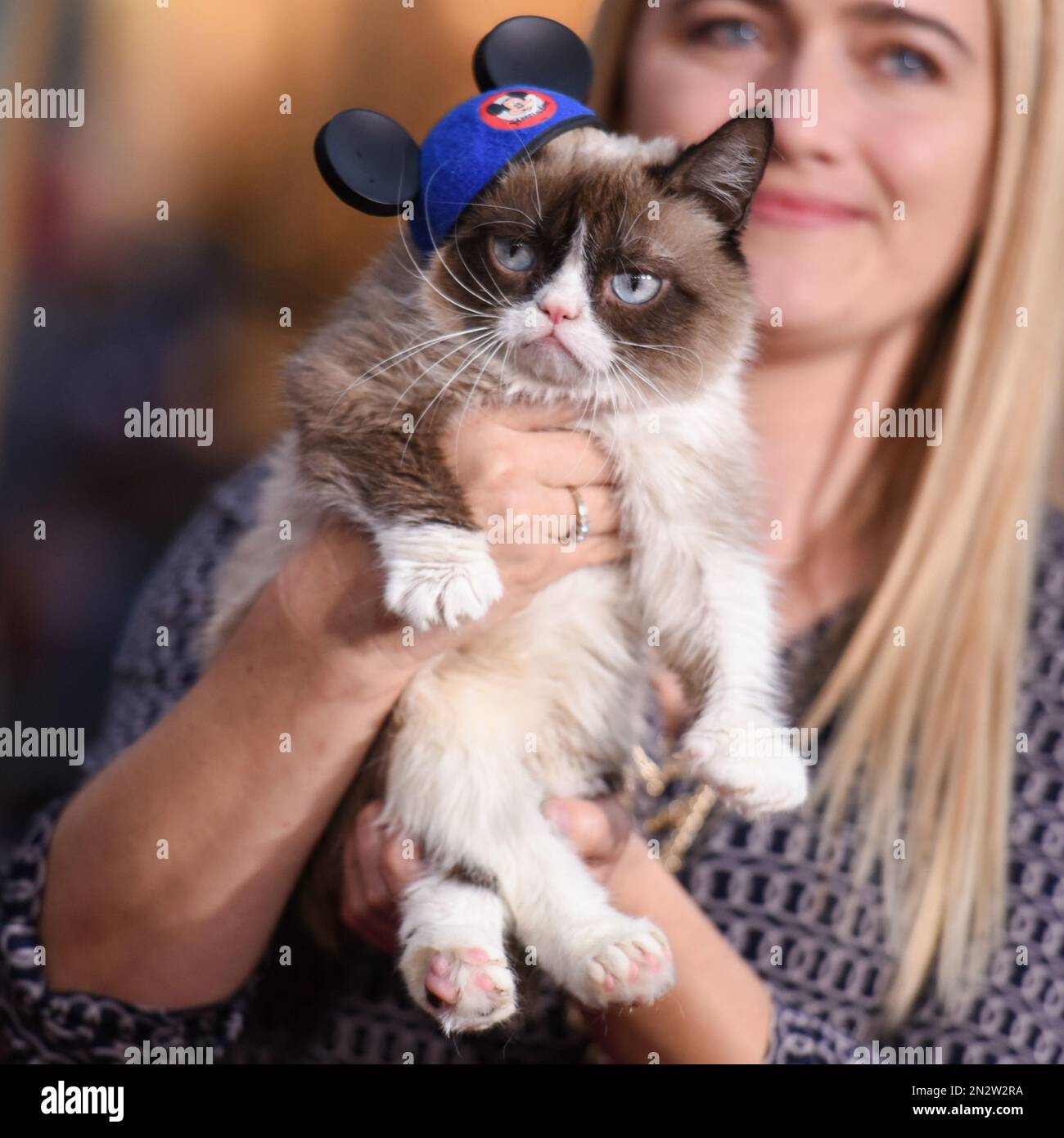 Tabatha Bundesen Grumpy Cat