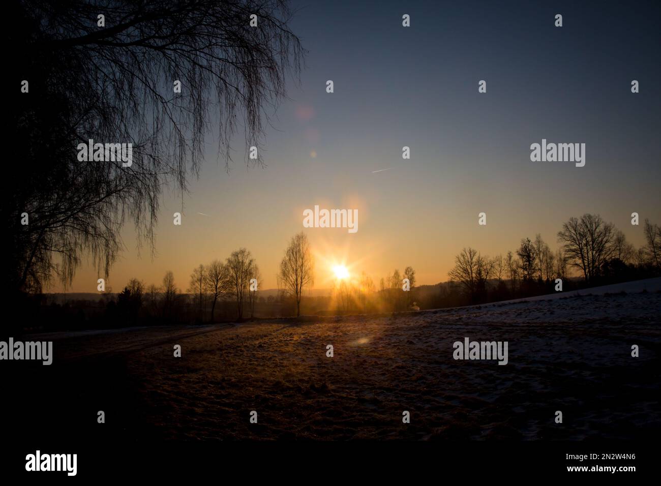 Birch waldviertel hi-res stock photography and images - Alamy