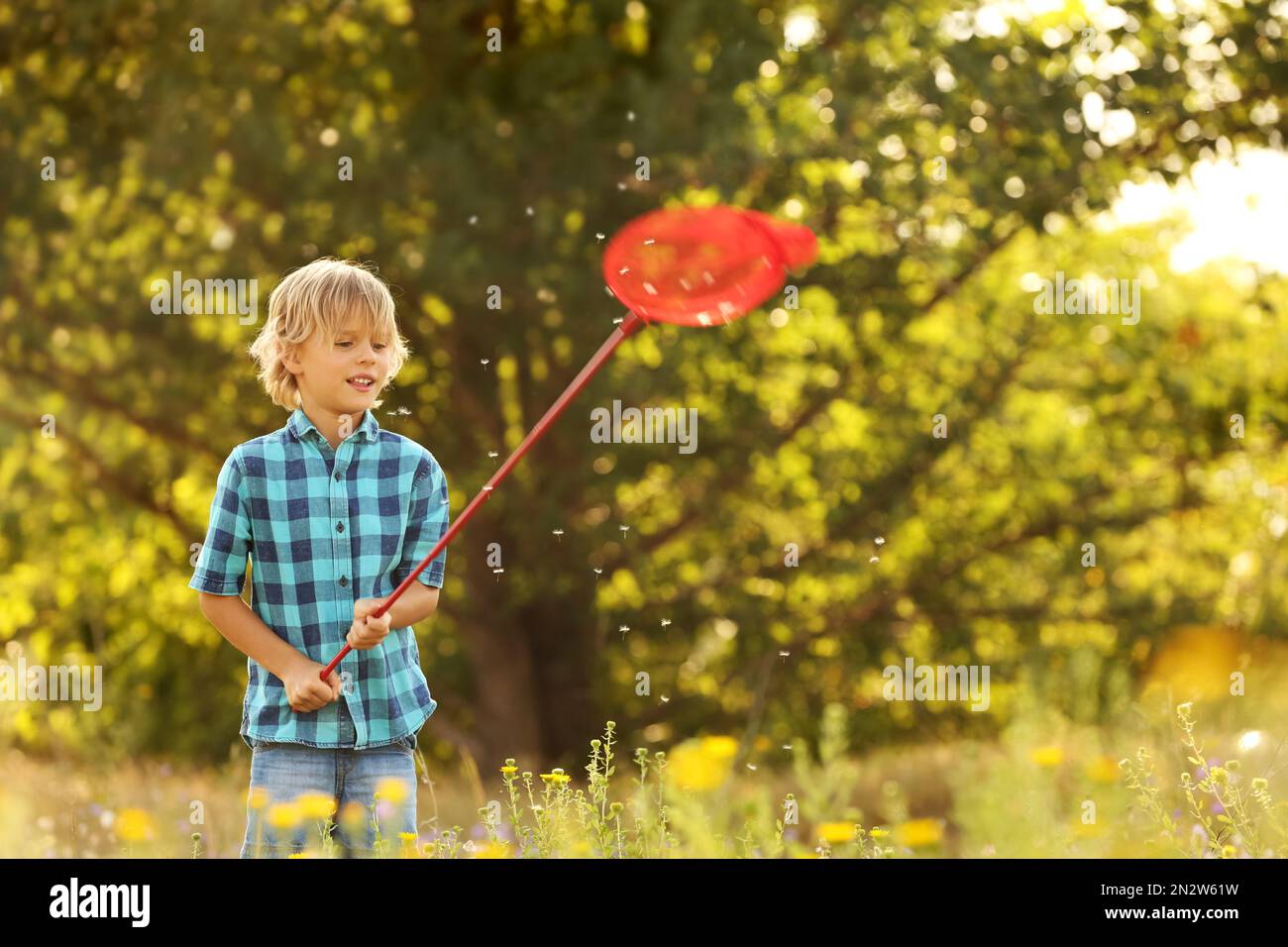 Cute little boy with butterfly net outdoors. Child spending time in ...