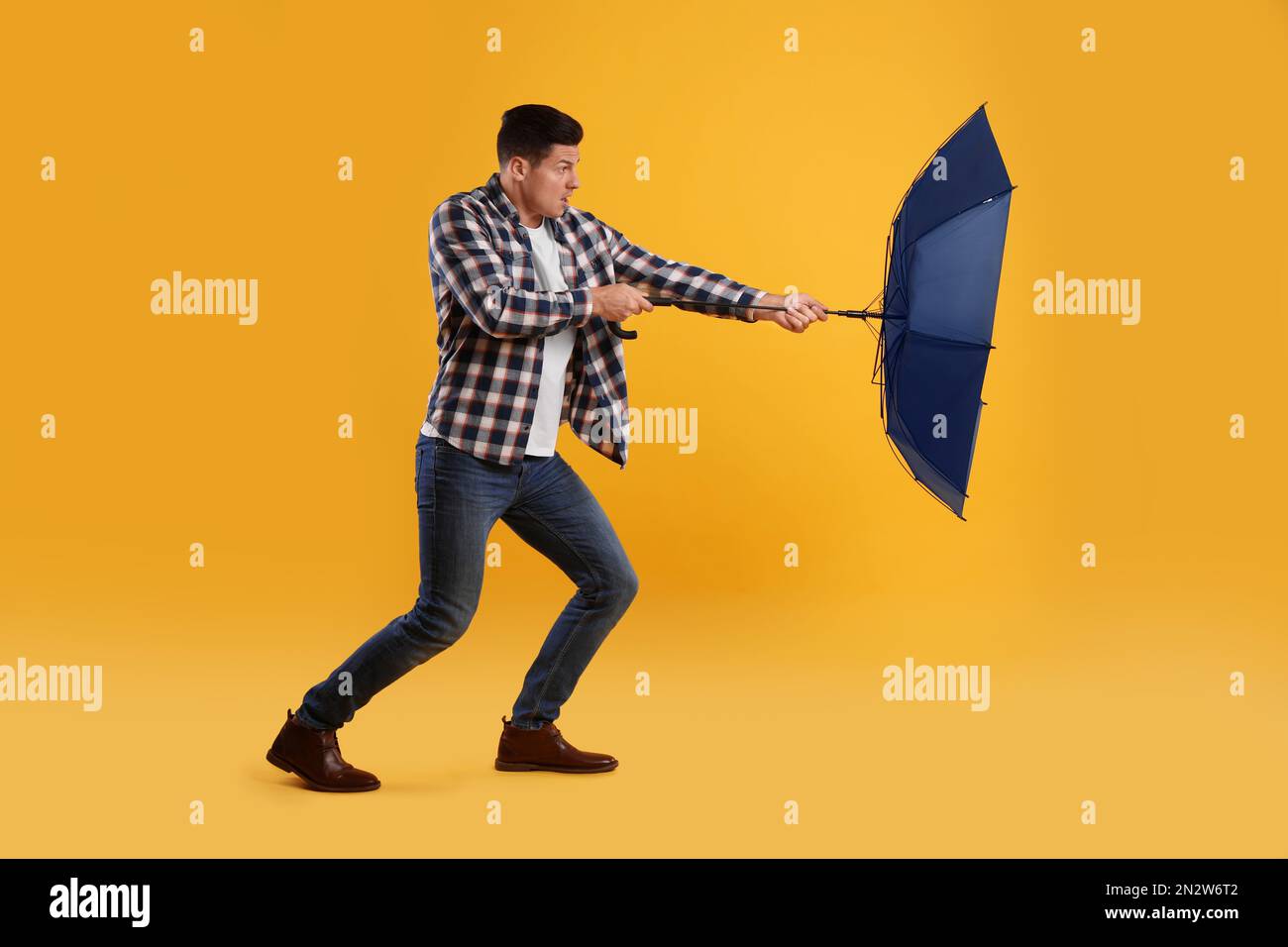Emotional man with umbrella caught in gust of wind on yellow background ...