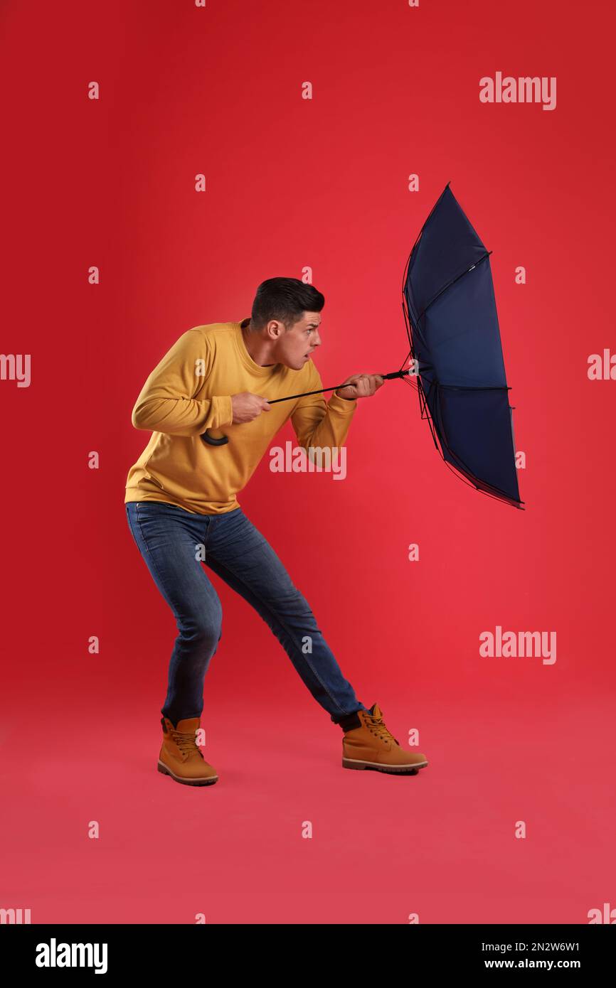 Emotional man with umbrella caught in gust of wind on red background ...