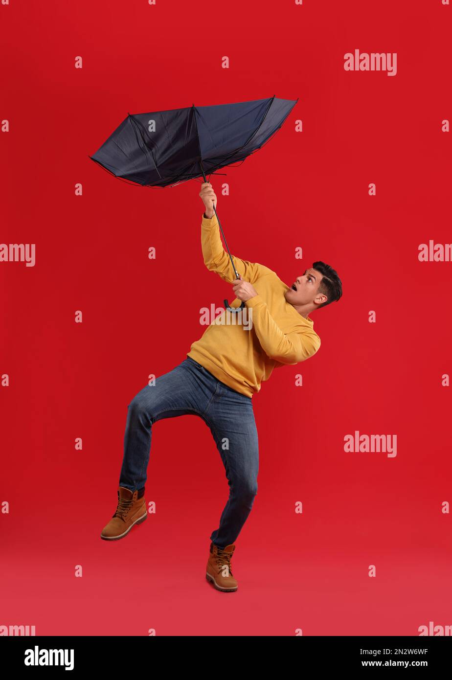 Emotional man with umbrella caught in gust of wind on red background ...