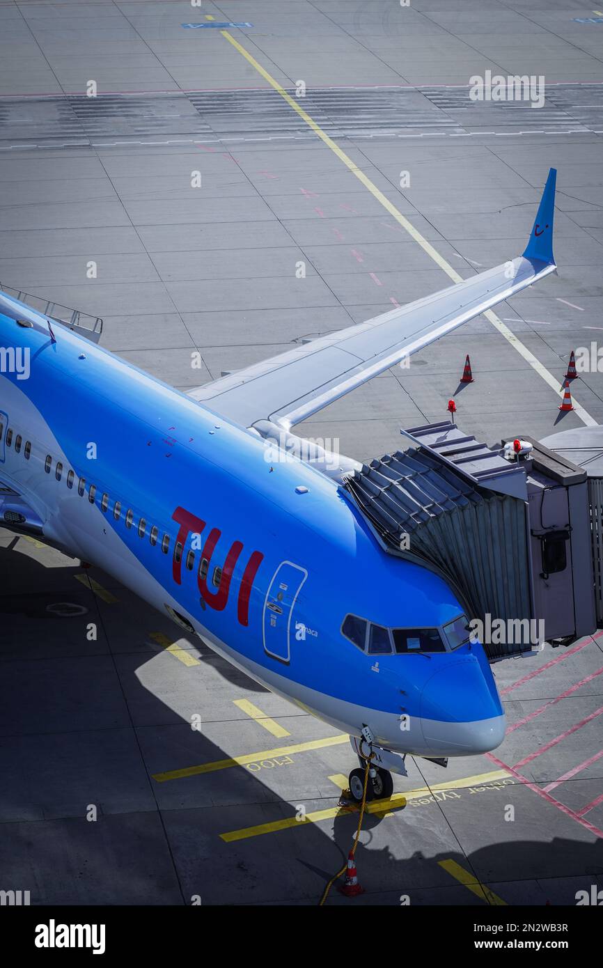 A vertical of a Blue Tui plane on parking at the Frankfurt airport ...
