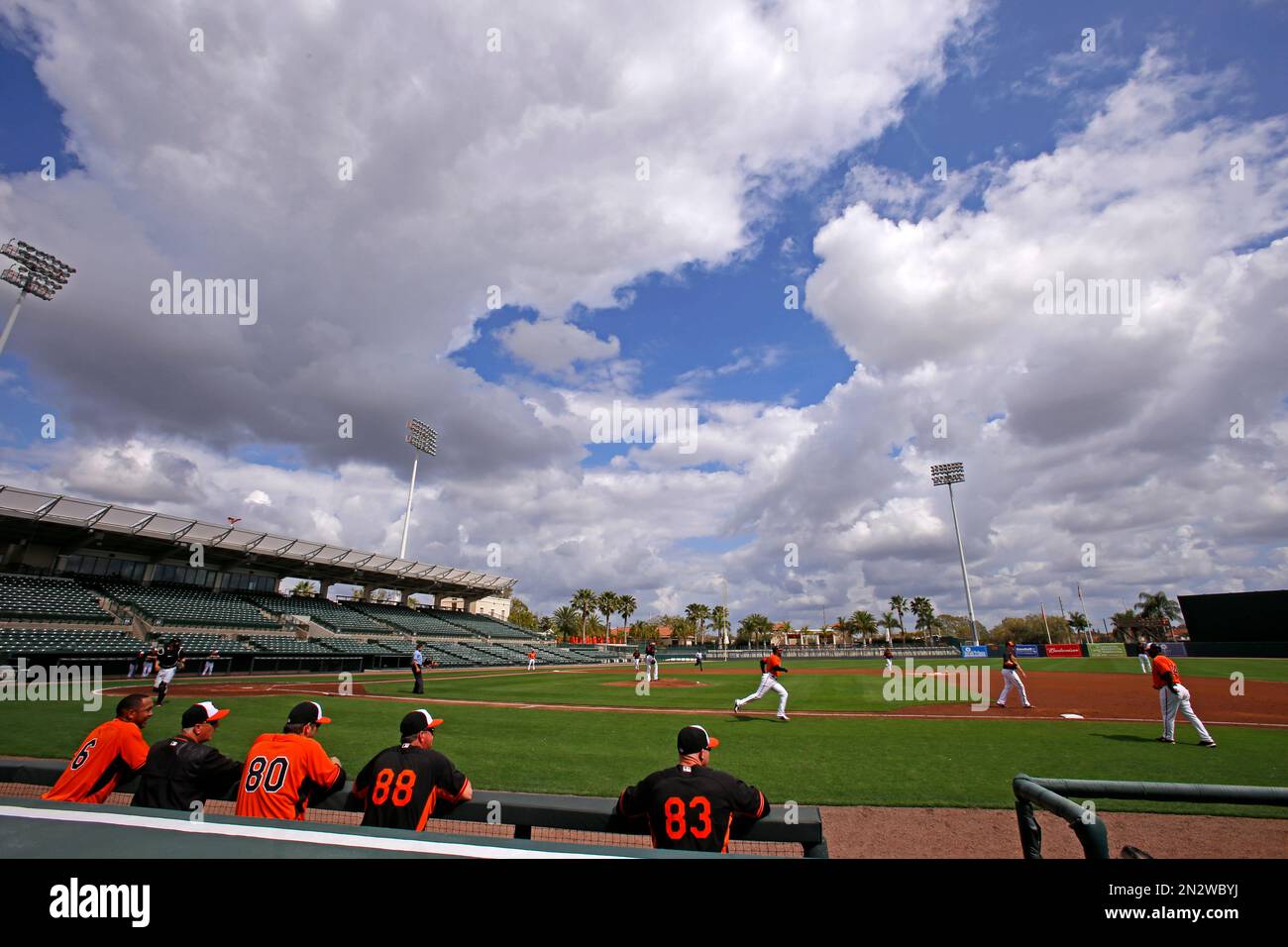 The Baltimore Orioles play an intra-squad spring training baseball game ...