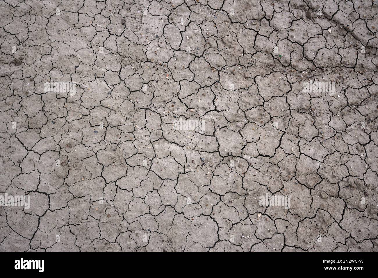 Dried and cracked ground background. Texture cracked earth Stock Photo ...