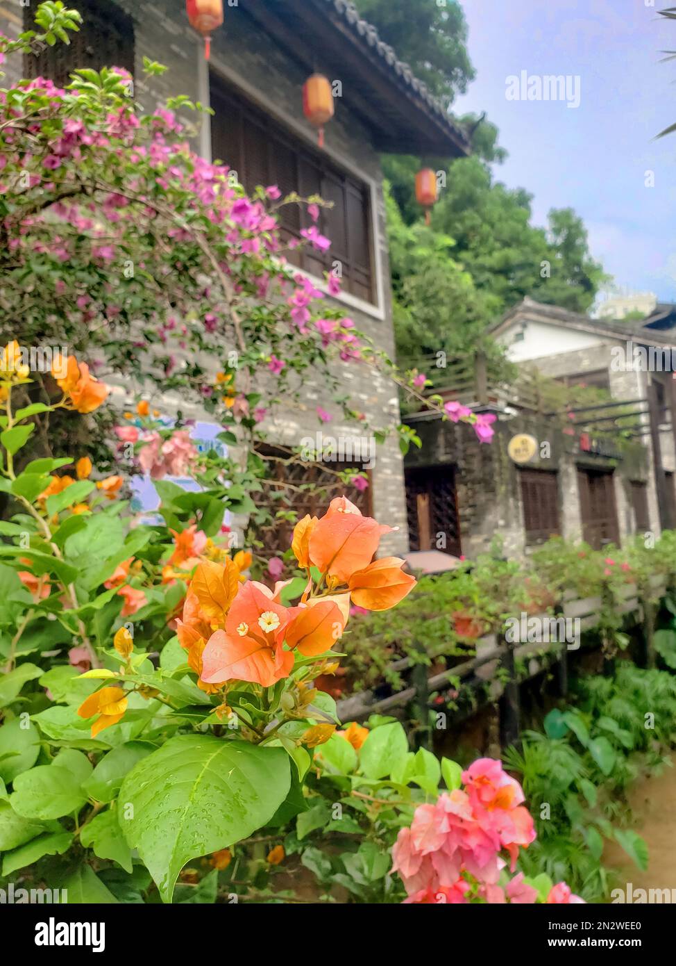 Flowers near water channel in a Chinese village Stock Photo - Alamy