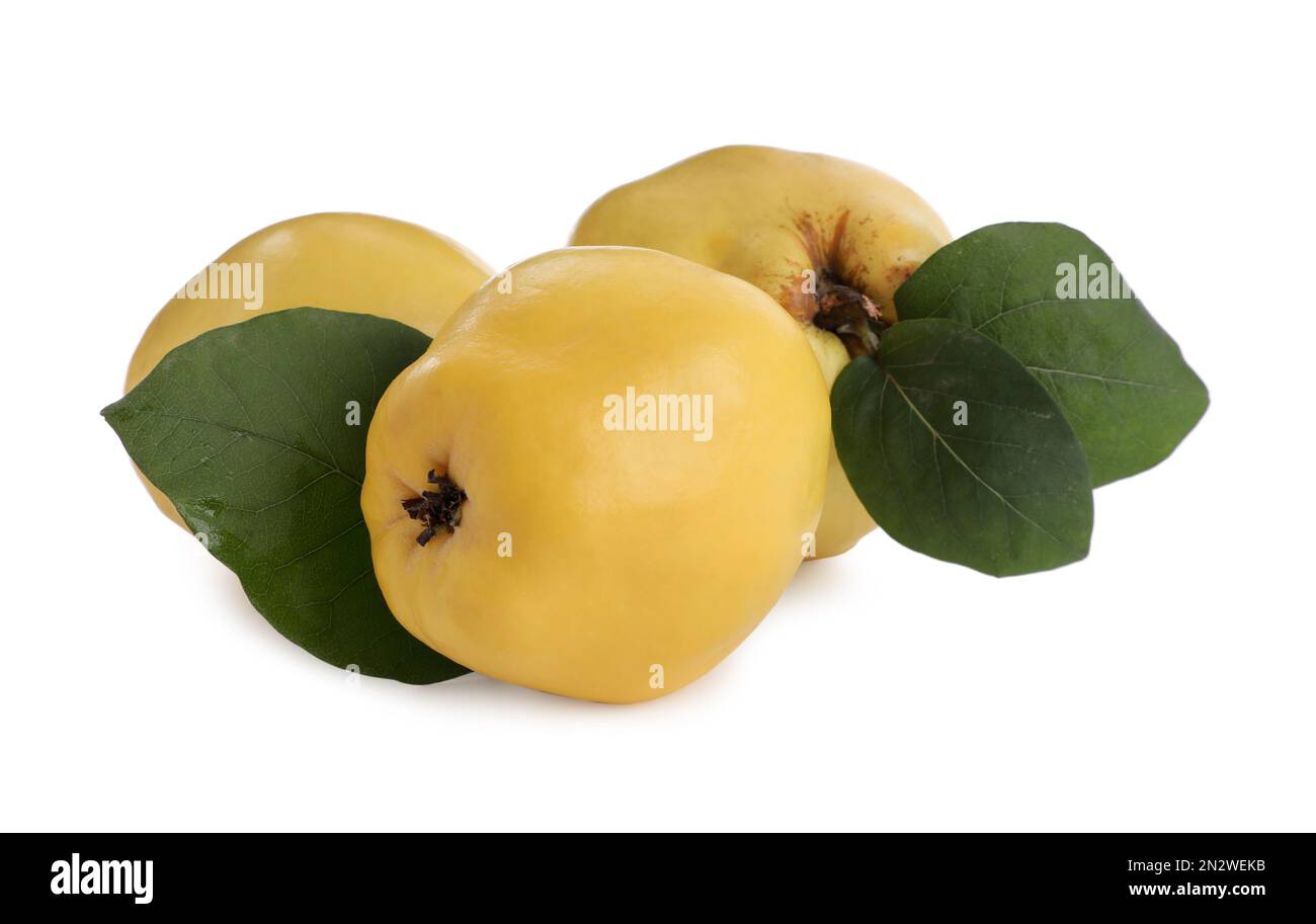 Ripe quinces with leaves on white background Stock Photo - Alamy