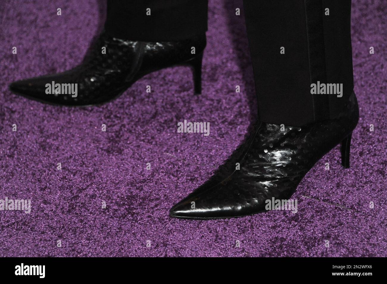 Sandra Bernhard arrives at the Family Equality Council Los Angeles ...