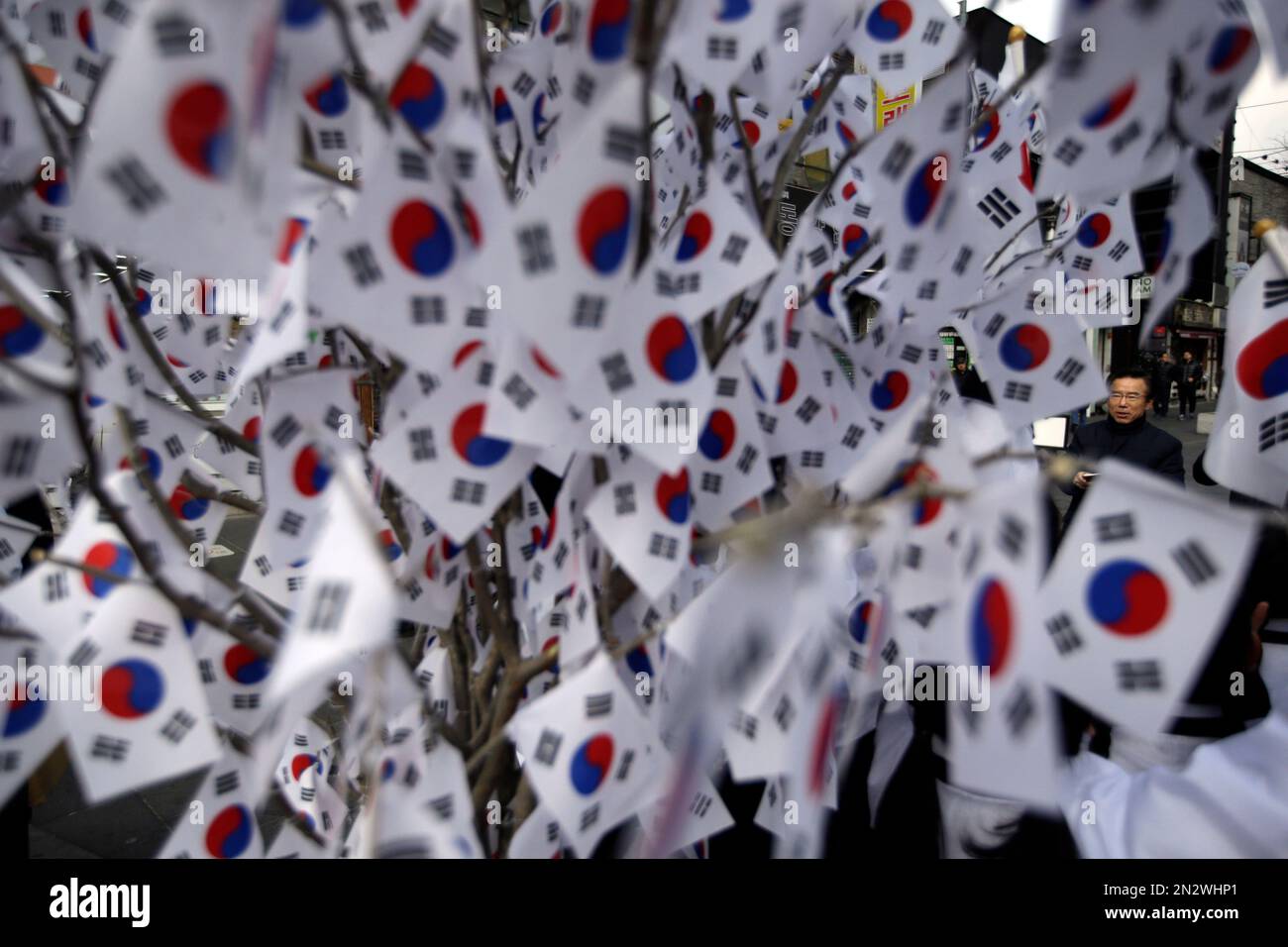 A man looks at South Korean national flags hanging on a tree during a ...