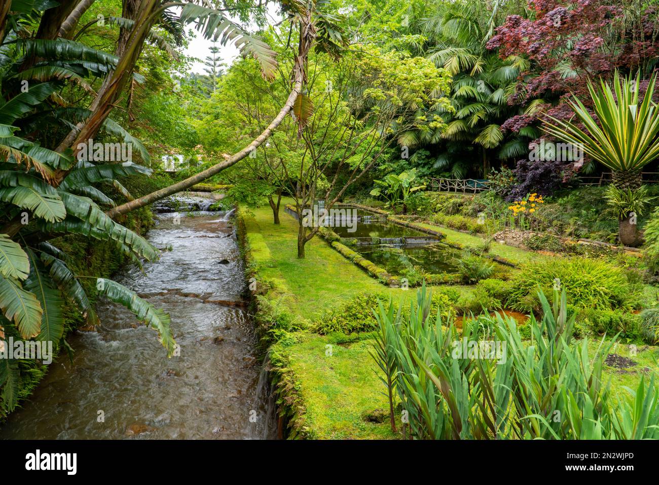 Azores Gardens River Stock Photo - Alamy