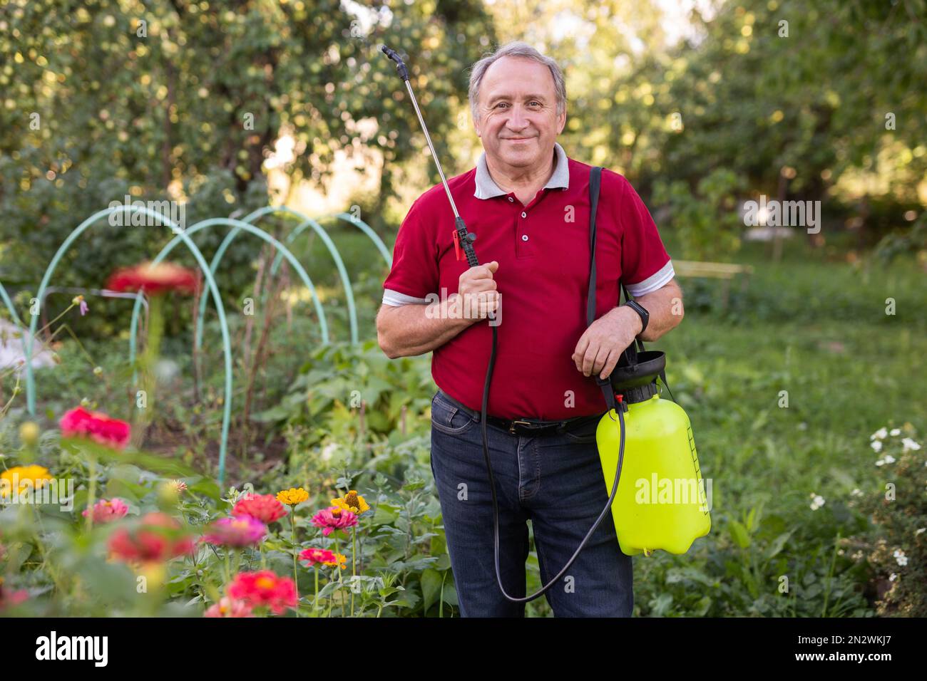 Male farmer spraying his garden with insecticides from spray bottle ...
