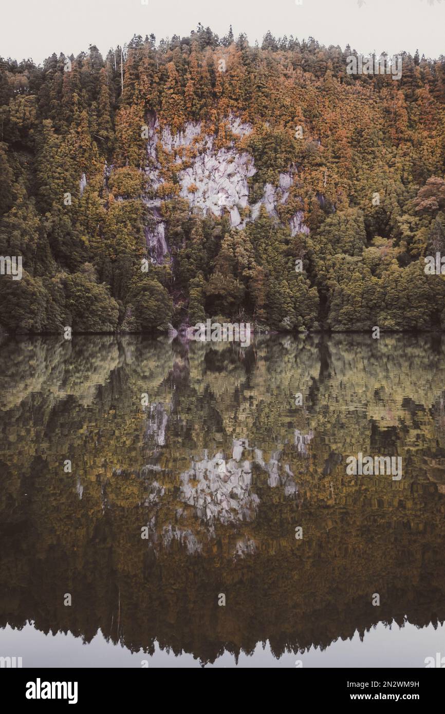 Azores orange trees hi-res stock photography and images - Alamy