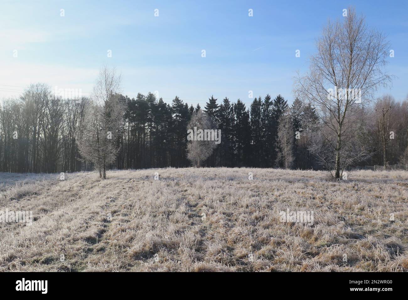 Frosty journey hi-res stock photography and images - Alamy