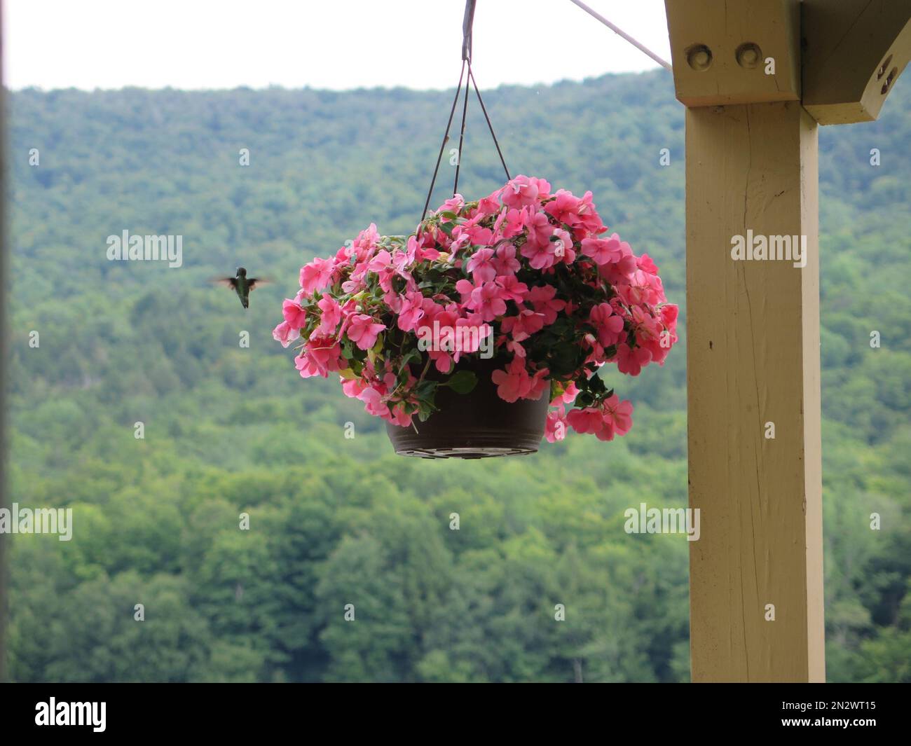 Flying pot hi-res stock photography and images - Alamy