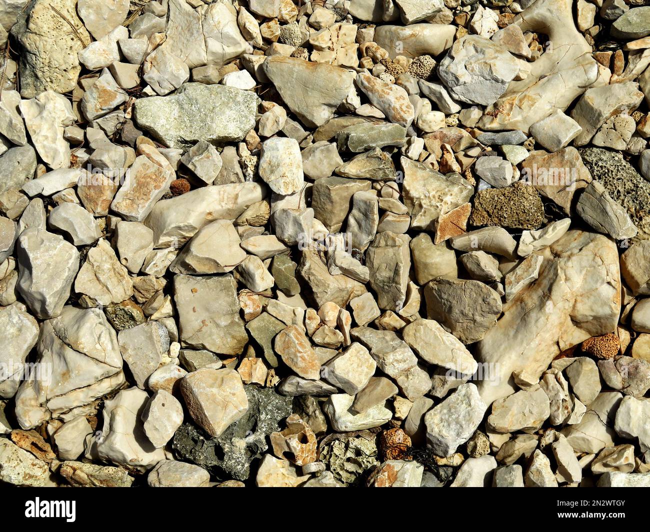 Texture with sandy color stones and shells on a rocky beach Stock Photo ...