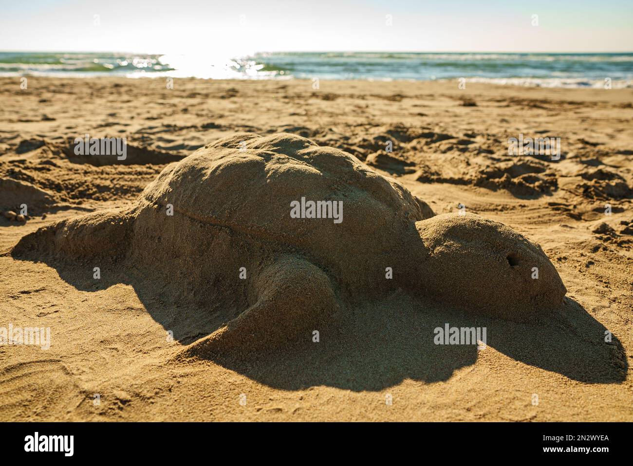 Sea turtle made of sand on the beach Stock Photo - Alamy