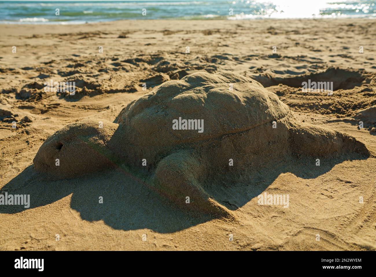 Turtle sand figure hi-res stock photography and images - Alamy